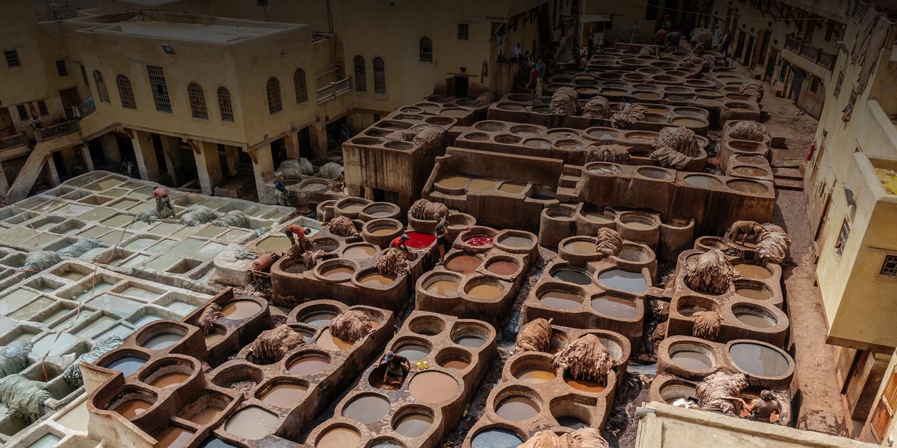 Fez tour guide - Fez Local Insider